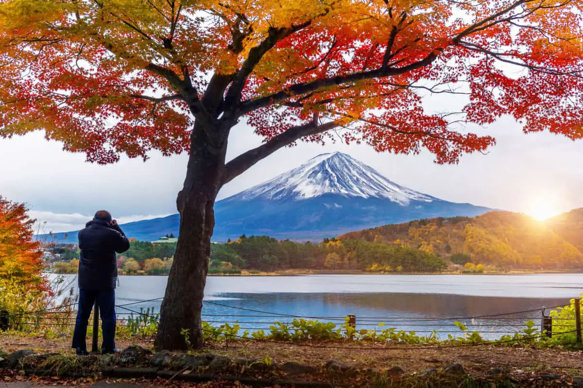 25 Special Things That Make Japan Unique – Insider Travel Japan