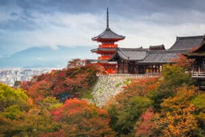 25 Special Things That Make Japan Unique – Insider Travel Japan